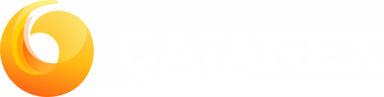 Datanex – data driven your business